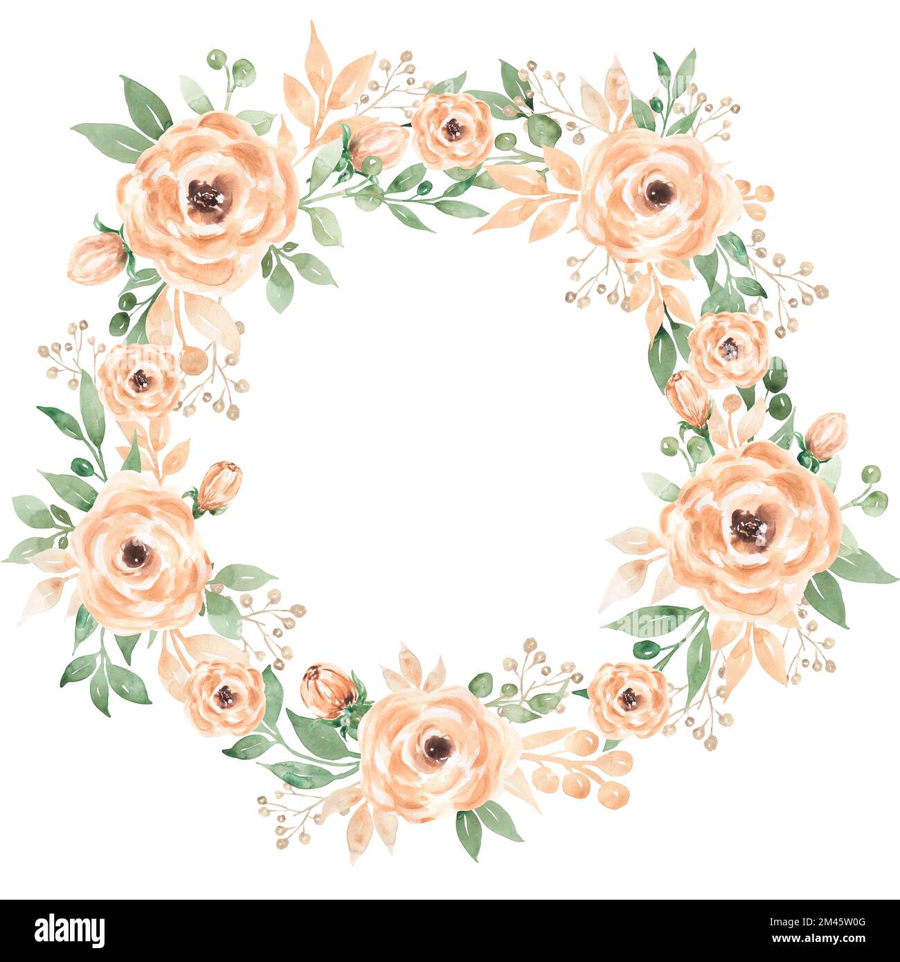 Floral frame clipart hi-res stock photography and images - Alamy