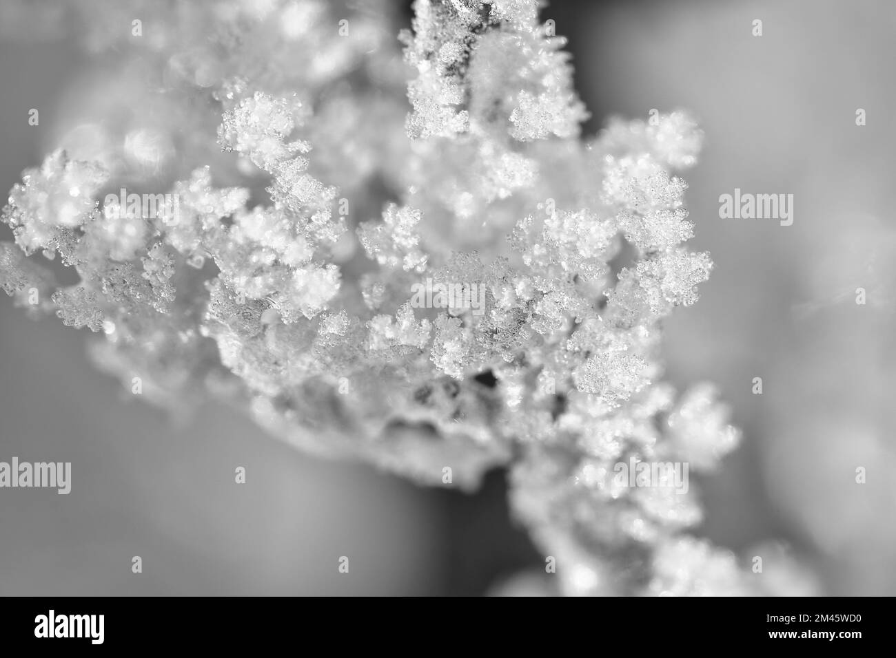 Ice crystals froze in all directions. Abundant textured and bizarre ...