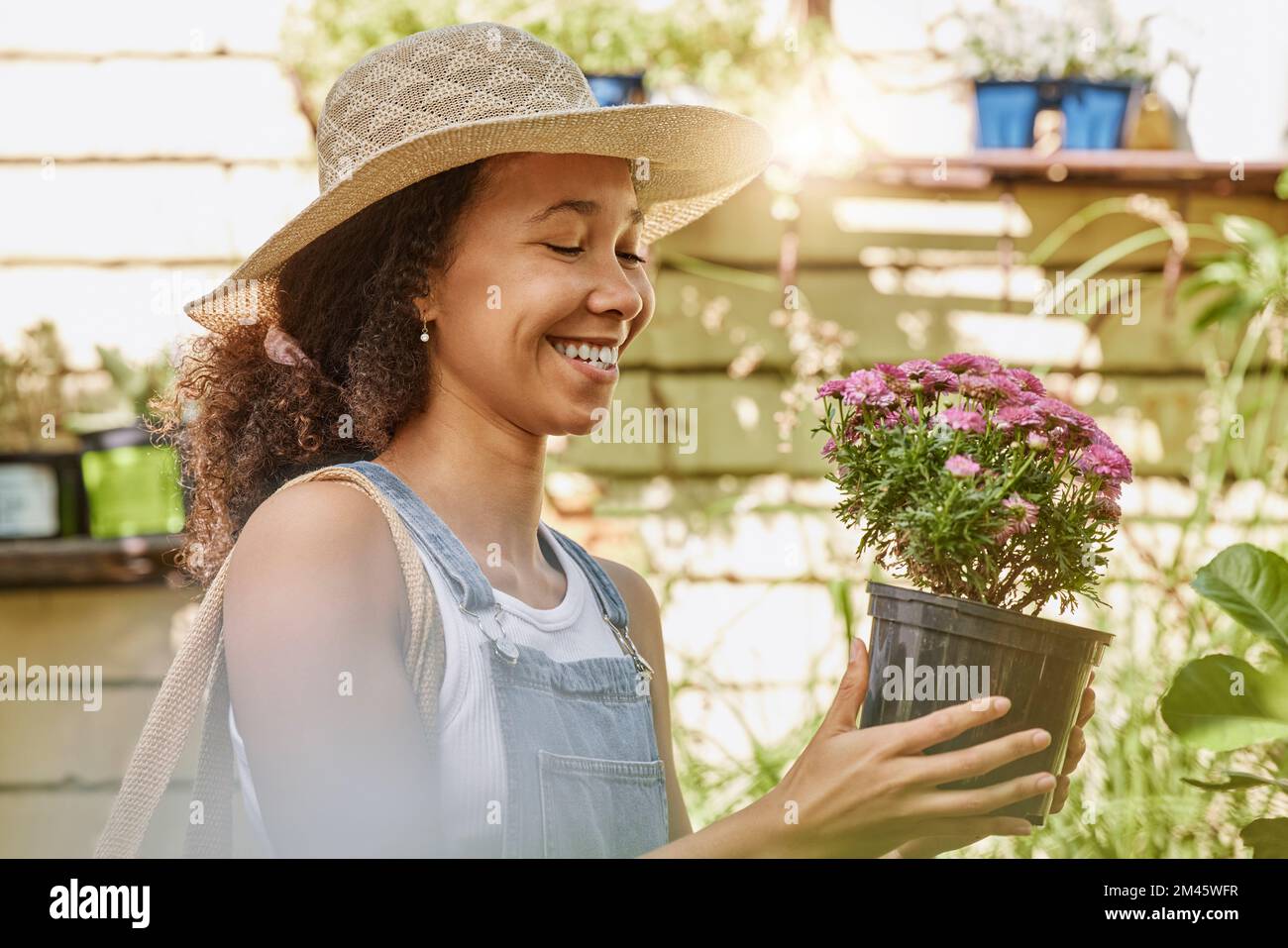 Flower pot storage hi-res stock photography and images - Alamy