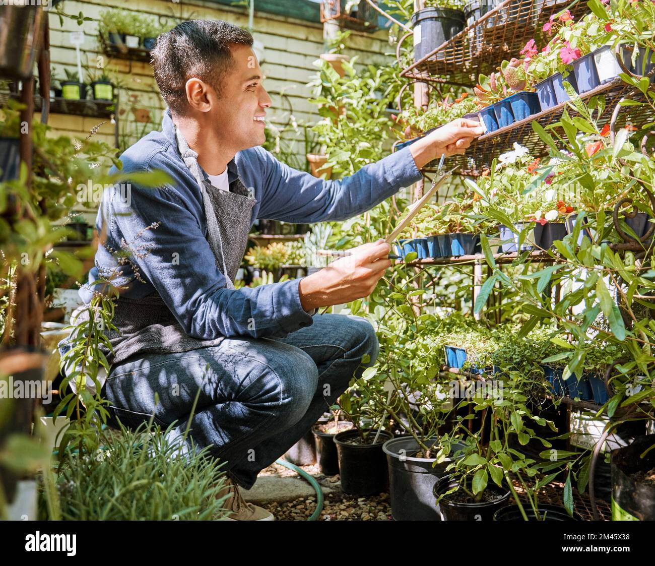 Man, gardening and plants checklist or happy entrepreneur working in ...