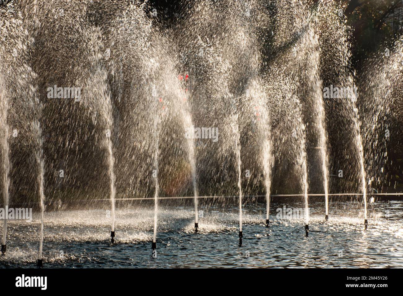 Colorful Illuminating fountains with splashing water at night Stock ...