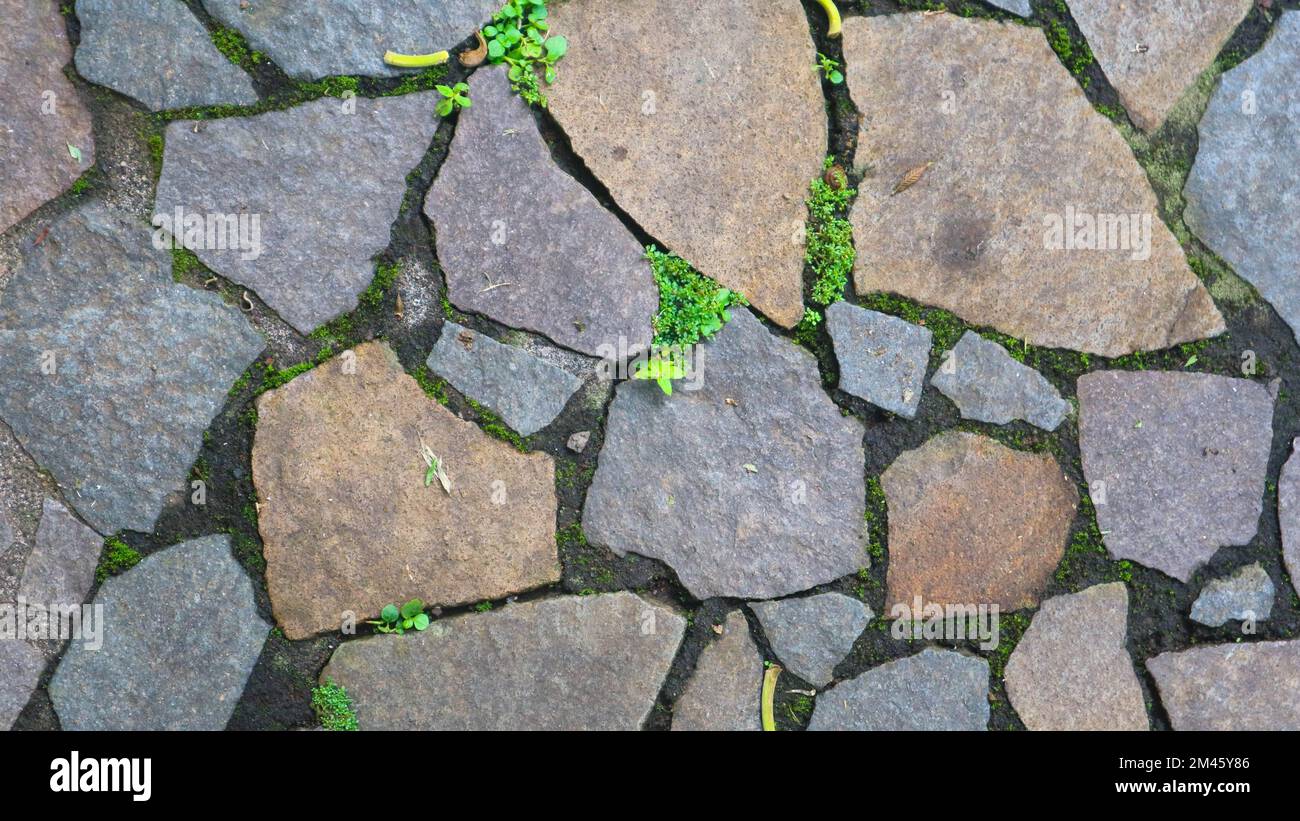 stone path with fallen leaves. as background Stock Photo - Alamy