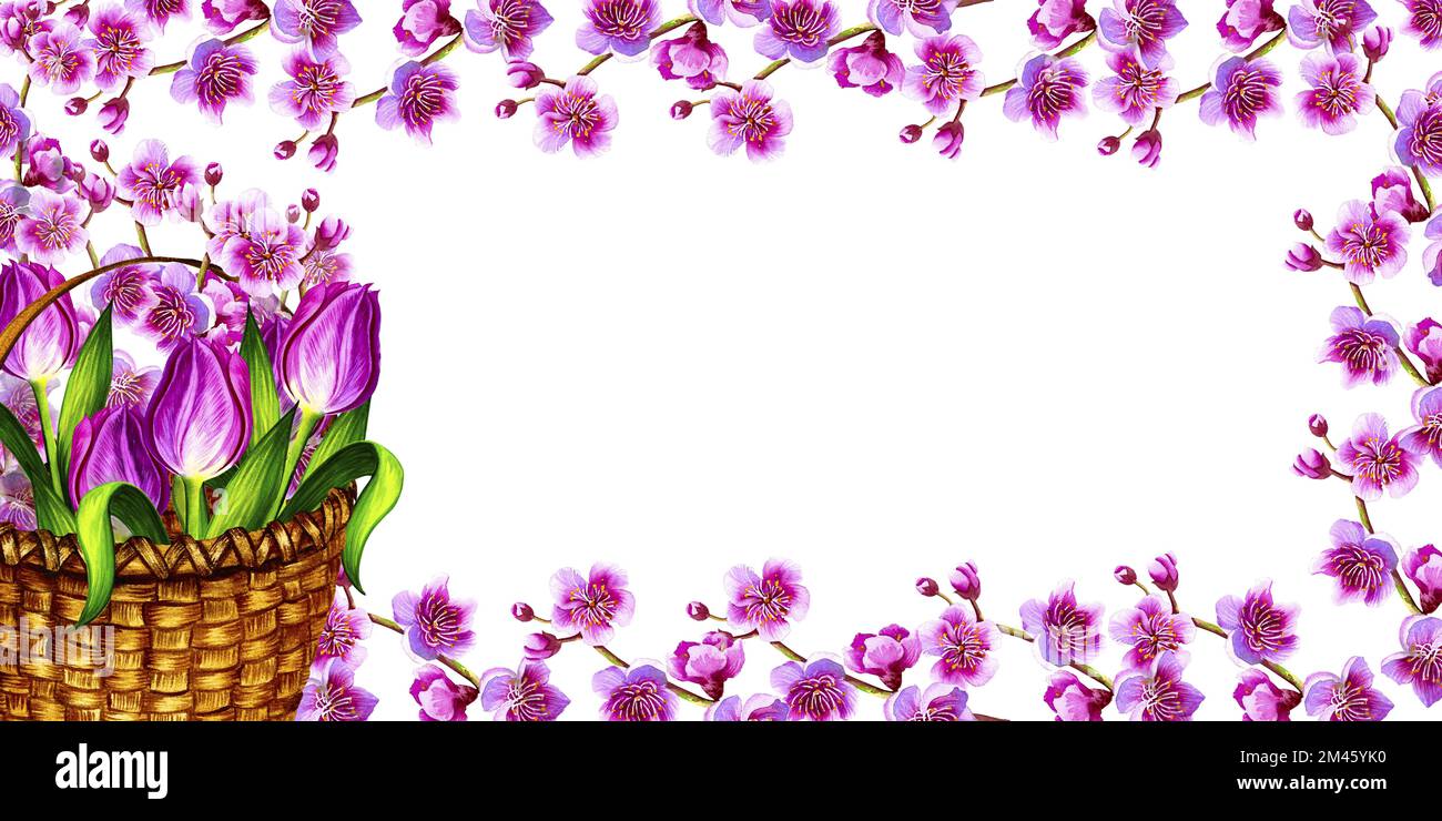 Spring delicate frame design with pink tulips and sakura. Watercolor ...