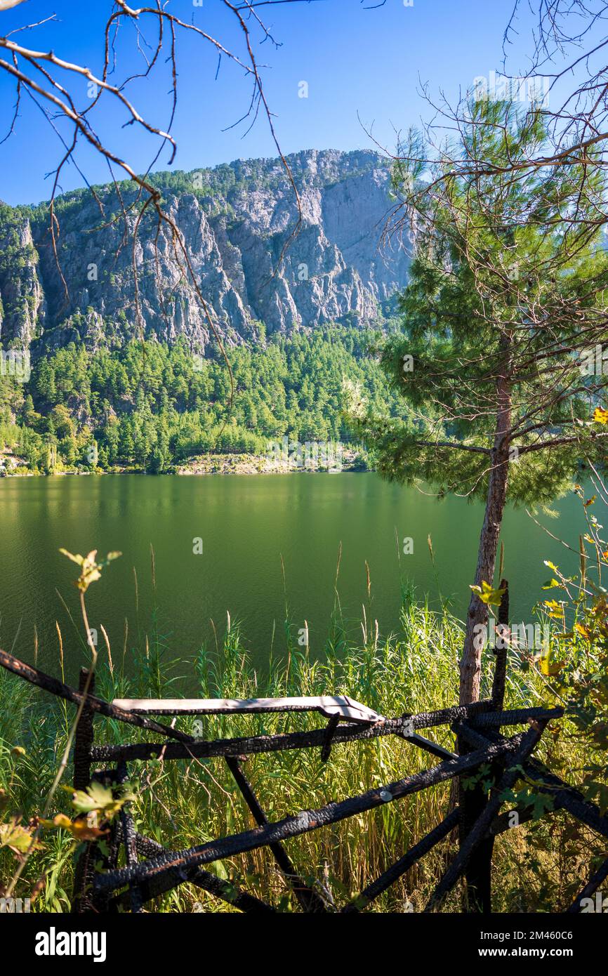 Beautiful lake on the slope of the mountain in greenery Stock Photo - Alamy