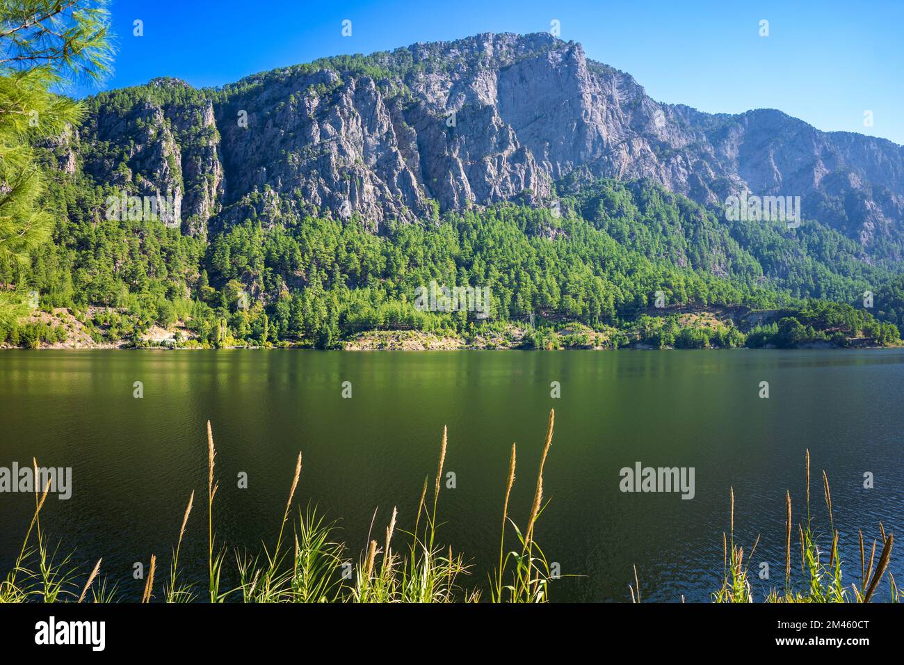 Beautiful lake on the slope of the mountain in greenery Stock Photo - Alamy