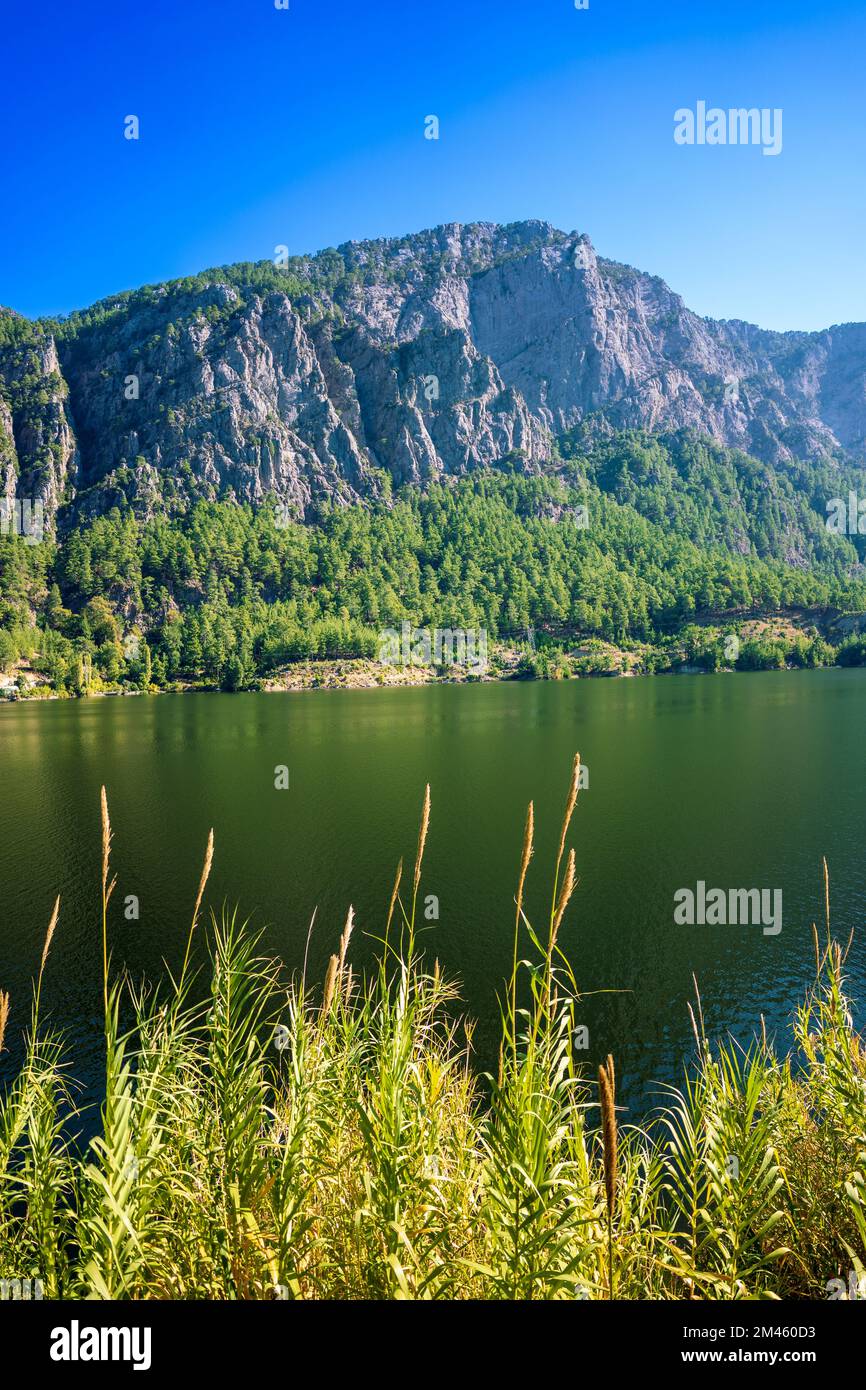 Beautiful lake on the slope of the mountain in greenery Stock Photo - Alamy