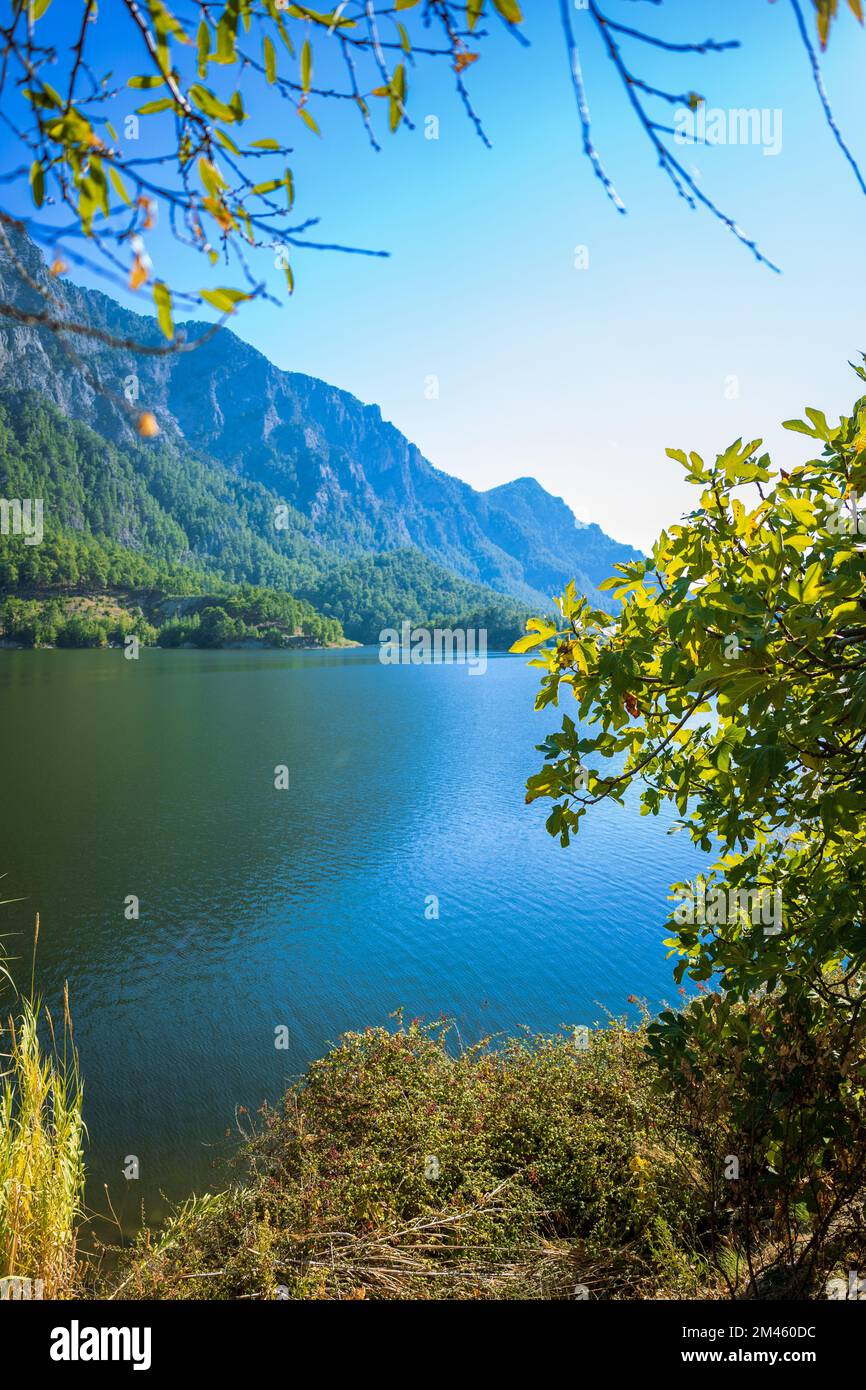 Beautiful lake on the slope of the mountain in greenery Stock Photo - Alamy
