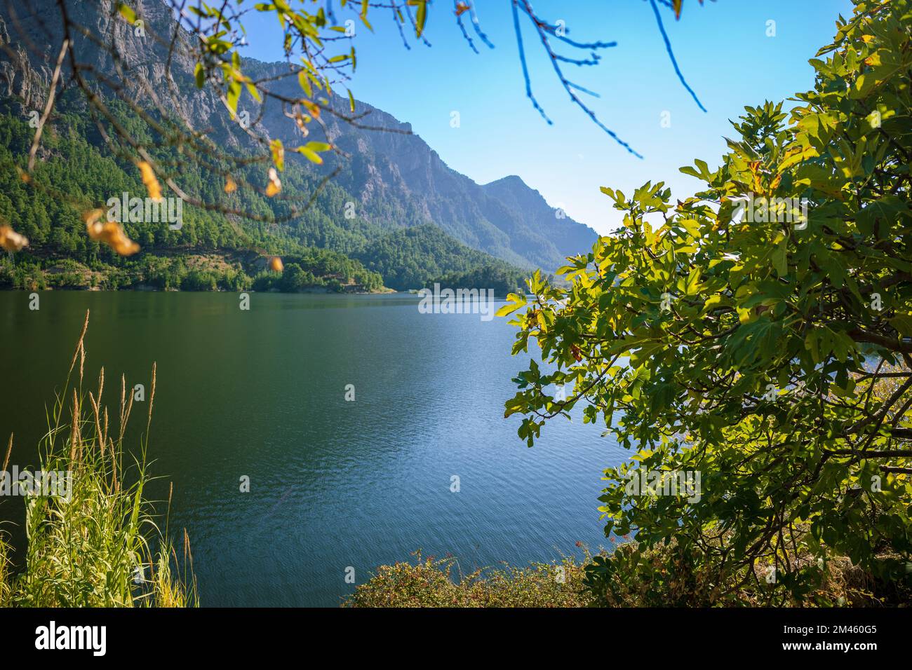 Beautiful lake on the slope of the mountain in greenery Stock Photo - Alamy