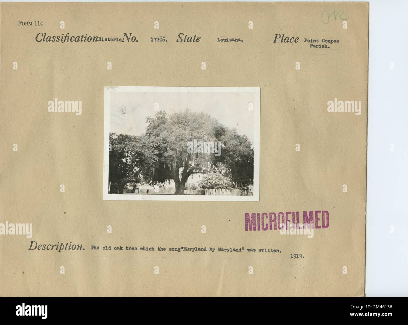 Old Oak Tree Where the Song "Maryland, My Maryland" Was Written ...