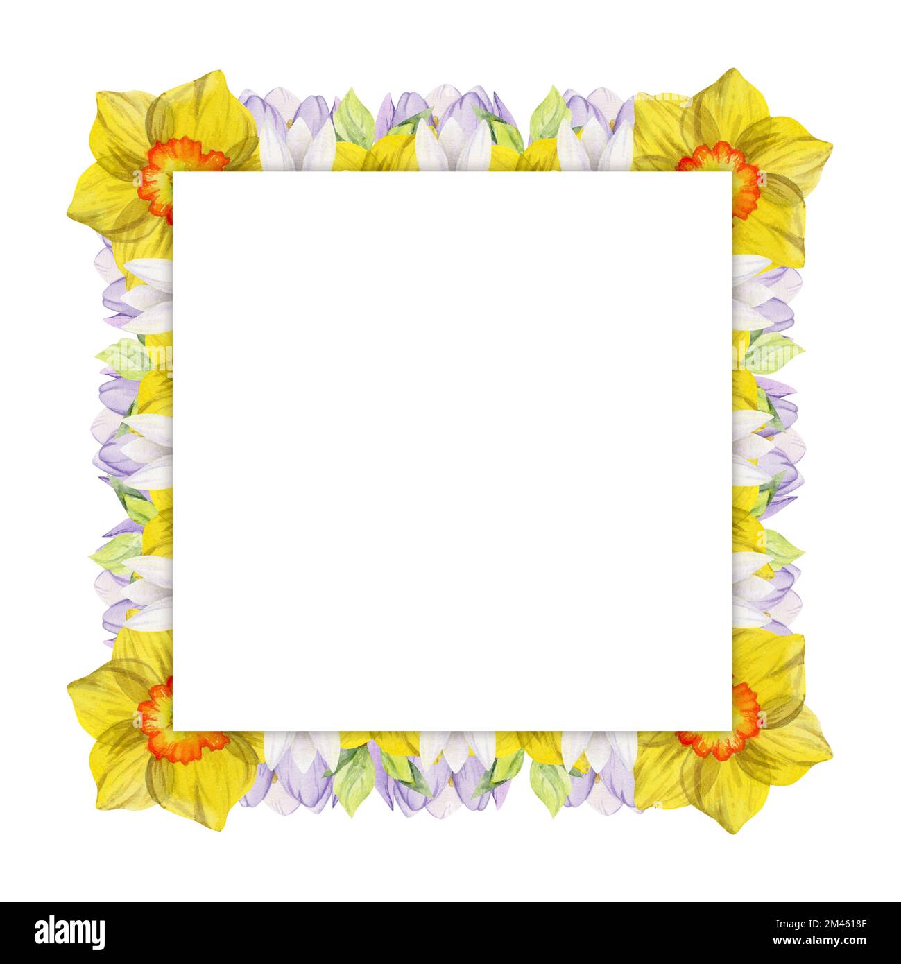 Watercolor hand drawn square frame with spring flowers, crocus ...