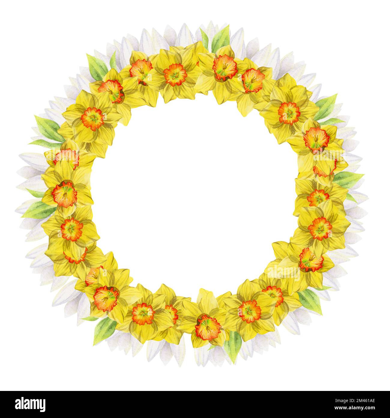 Watercolor hand drawn circle wreath with spring flowers, daffodils ...