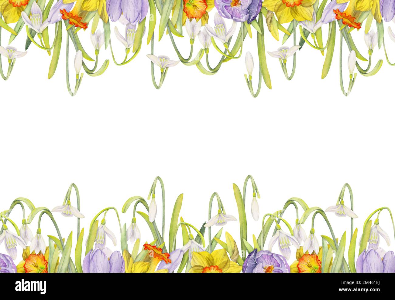 Watercolor hand drawn square frame with spring flowers, crocus ...