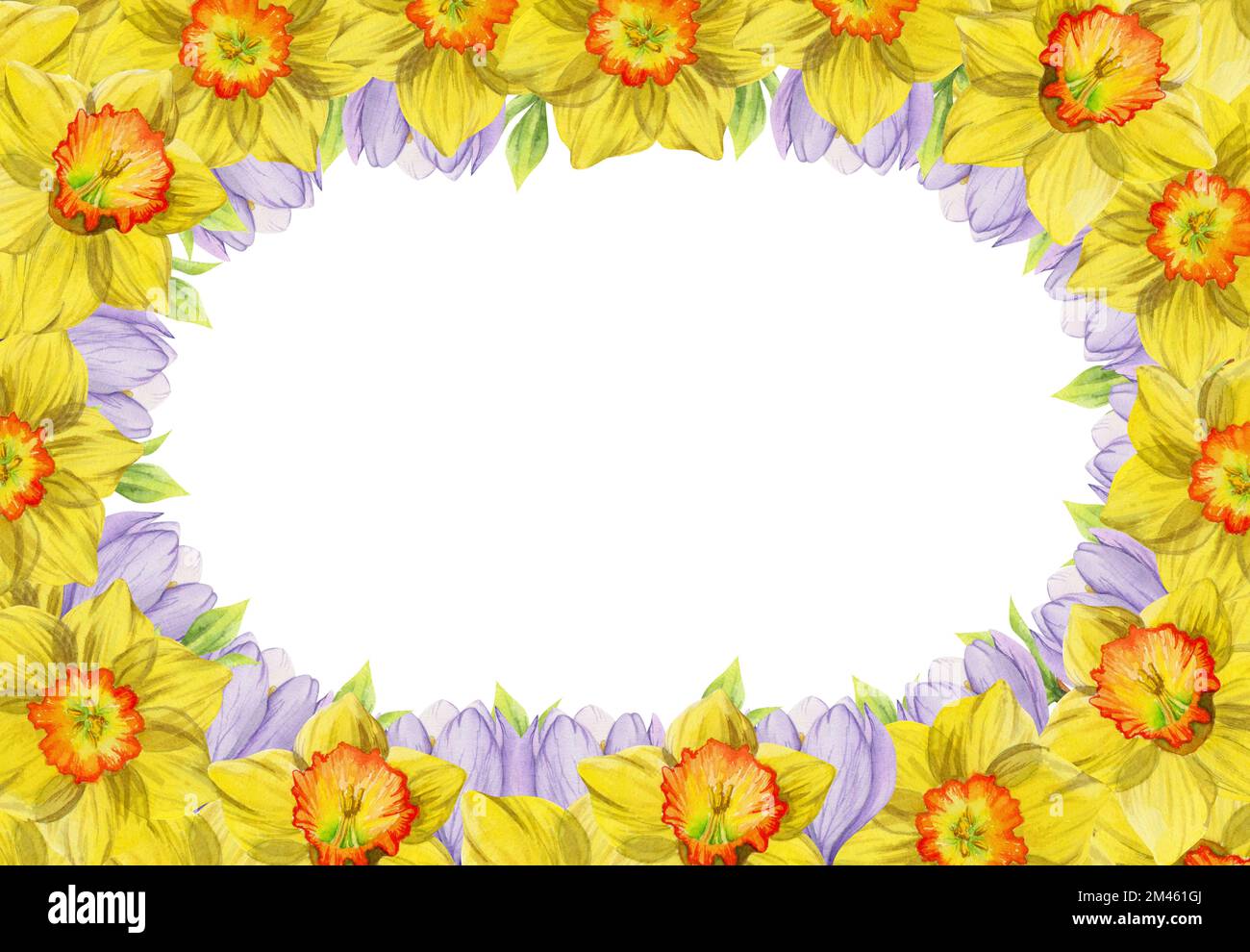 Watercolor hand drawn circle wreath with spring flowers, daffodils ...