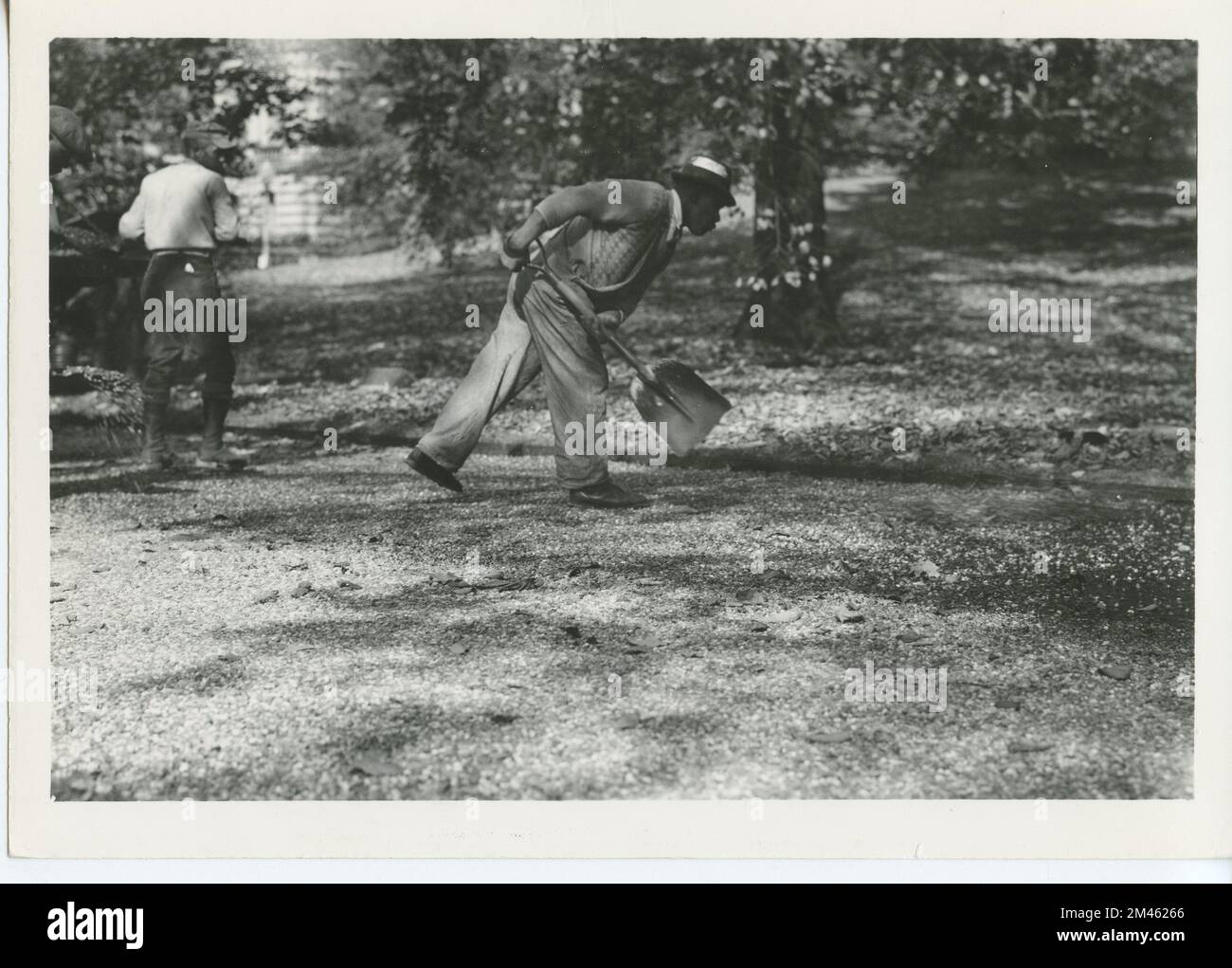 South White House Grounds. Original caption: South White House Grounds ...