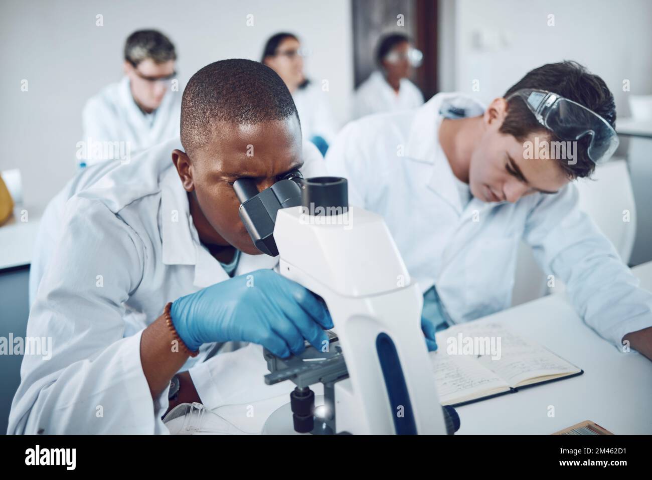 Microscope, science team and medical analysis for research innovation ...