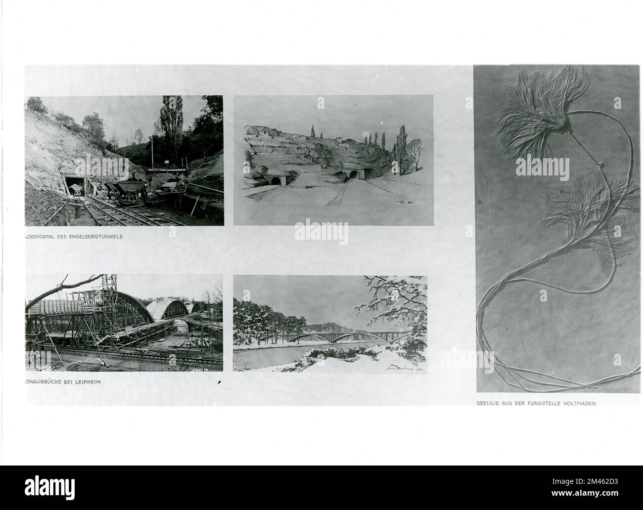 German archaeological Cut Out Stock Images & Pictures - Alamy