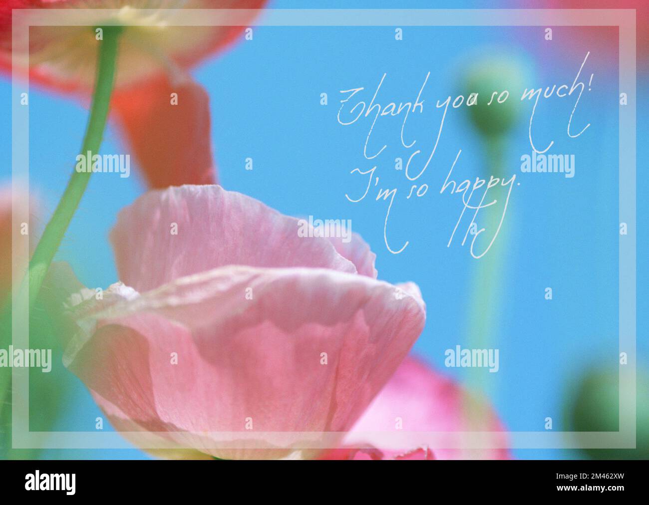 Thank You Card Stock Photo - Alamy