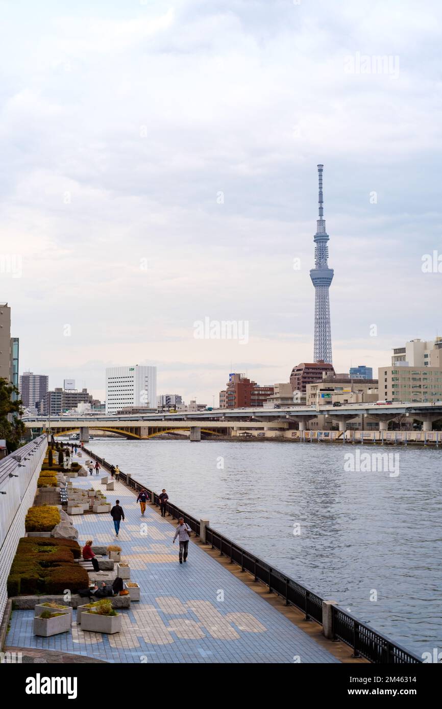 A vertical shot of Tokyo Skytree tower seen from the opposite bank of ...