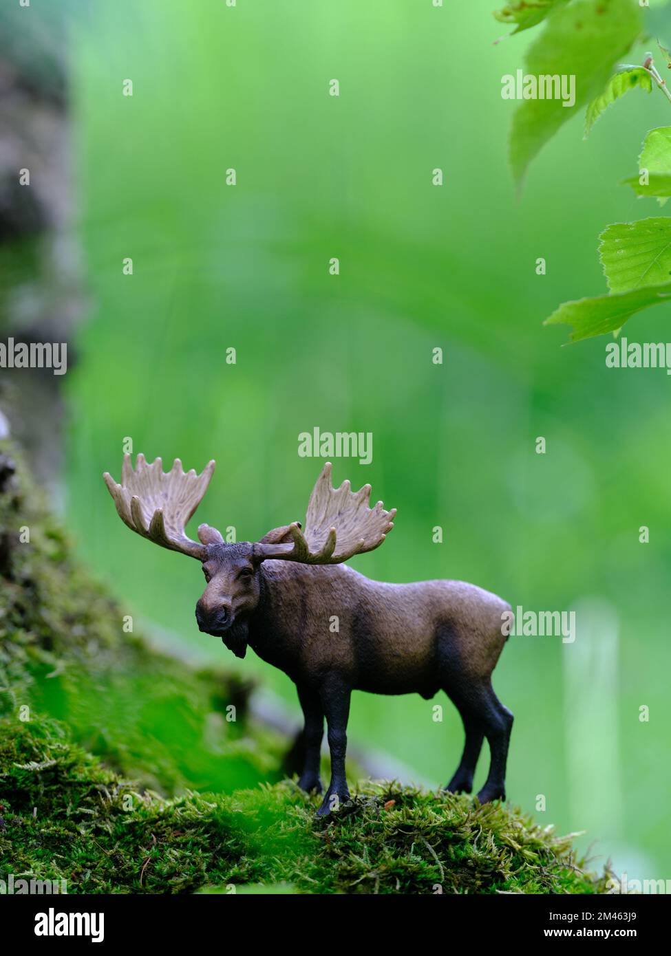 Figure moose hi-res stock photography and images - Alamy