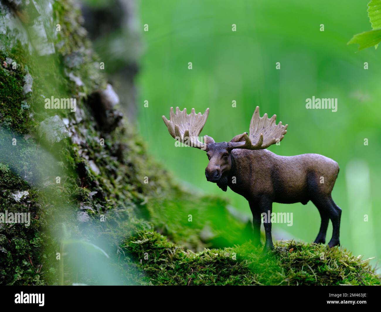 Figure moose hi-res stock photography and images - Alamy