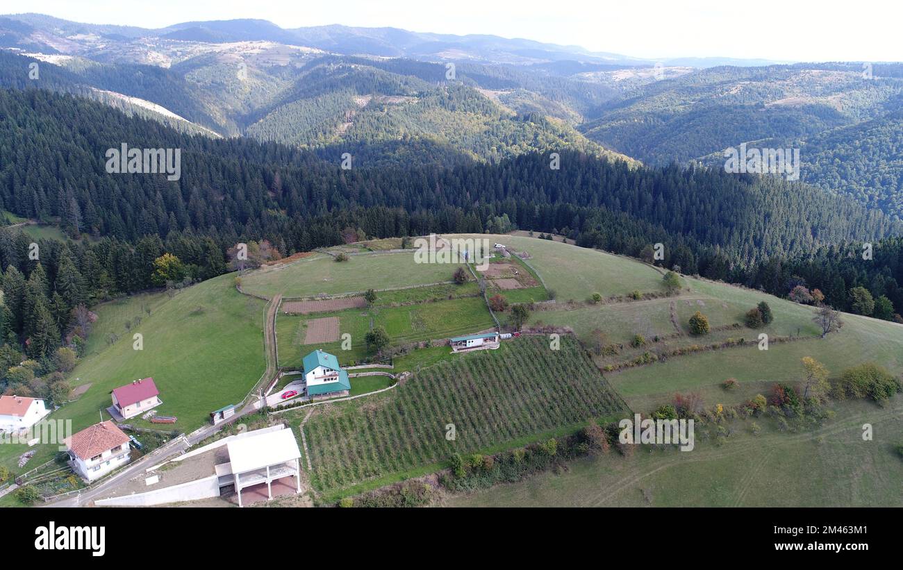 Aerial drone view of ATV quads on a dirt trail in forests. Off-road ...