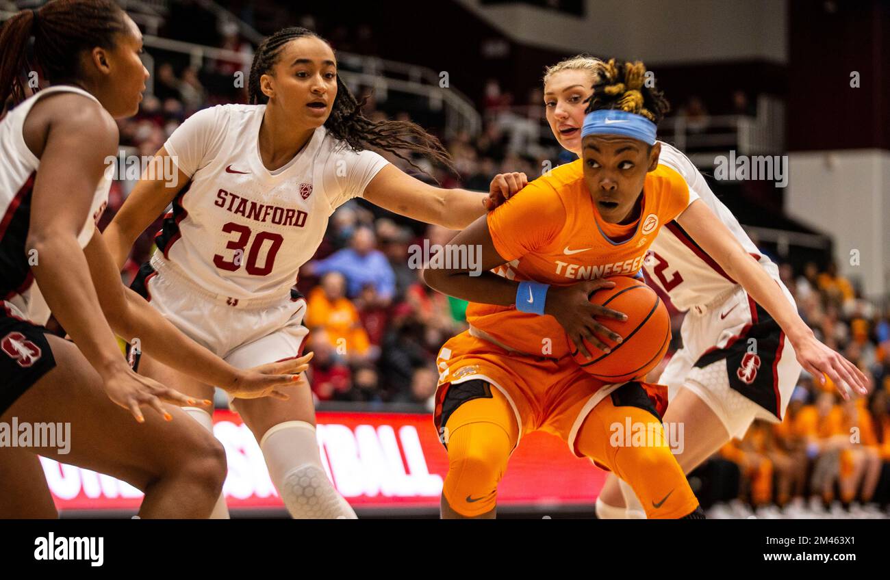 Horston hi-res stock photography and images - Alamy