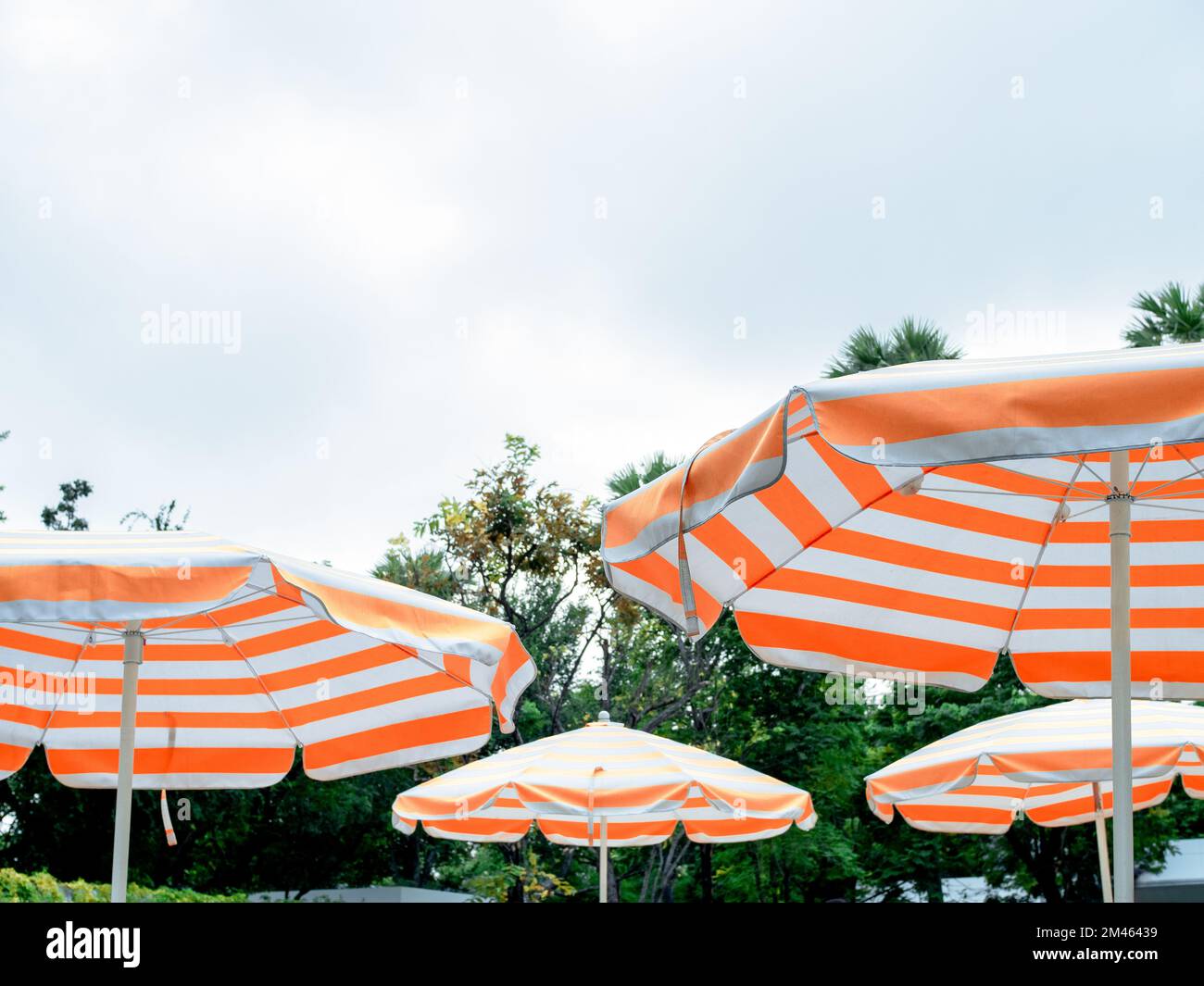 Seascape. Summer view with orange striped beach umbrellas, tropical ...