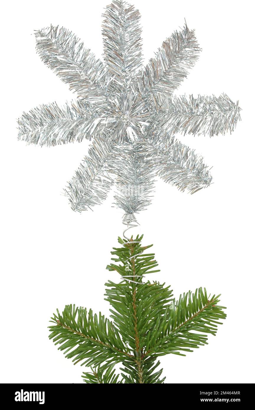 Star and tree. On white background Stock Photo - Alamy