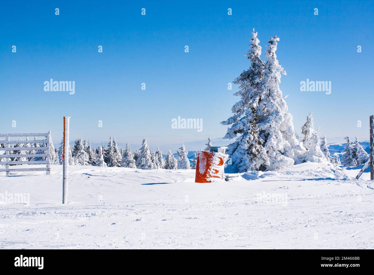 Vacation rural winter background with white pine tree, fence, snow ...