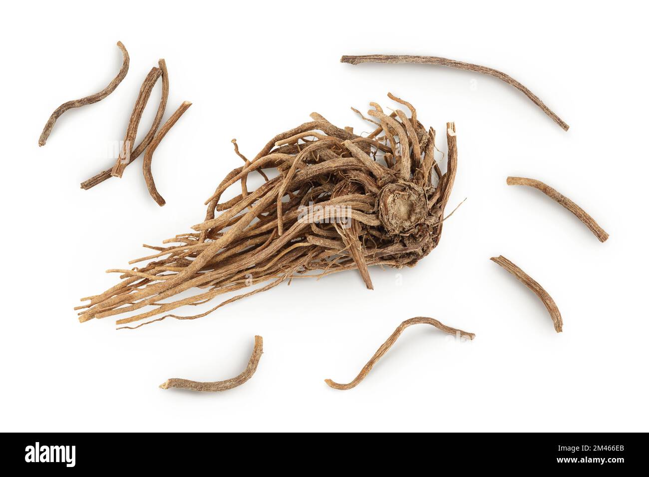 Dried Valerian root isolated on white background. Valeriana officinalis ...