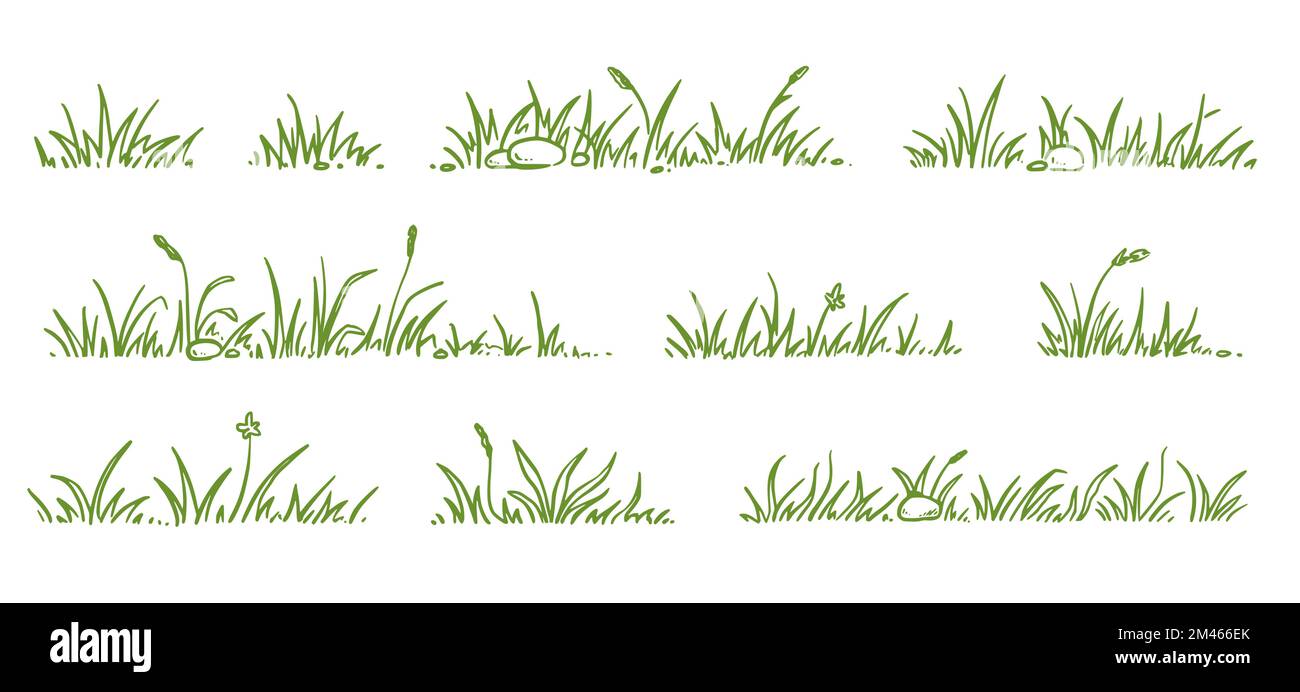 Grass doodle sketch style set. Hand drawn grass field outline scribble ...