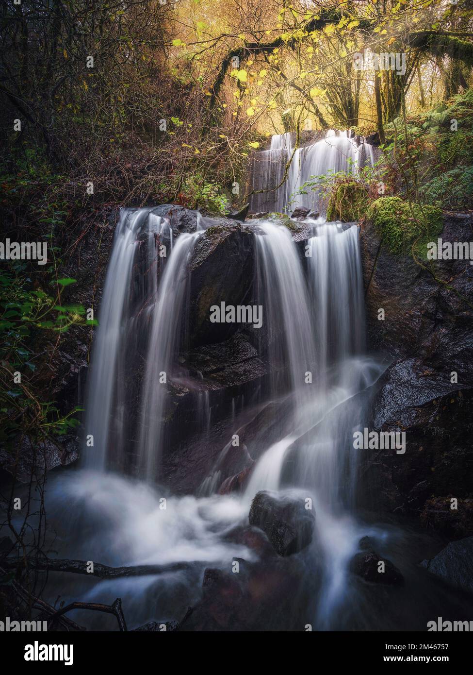 Forest rivers and waterfalls in autumn. Gondomar, Galicia, Spain Stock ...