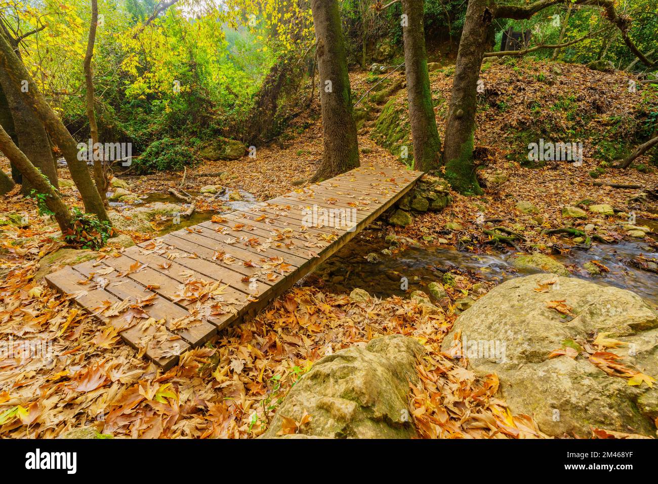 View of rocks, trees, water stream, fall foliage, footbridge, and trail ...
