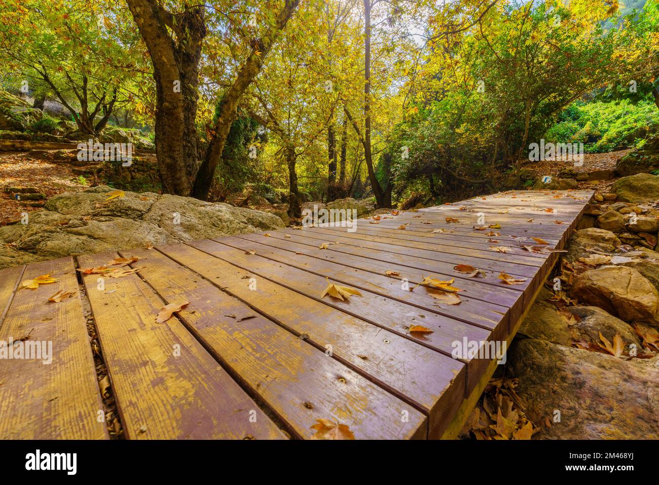 View of rocks, trees, water stream, fall foliage, footbridge, and trail ...