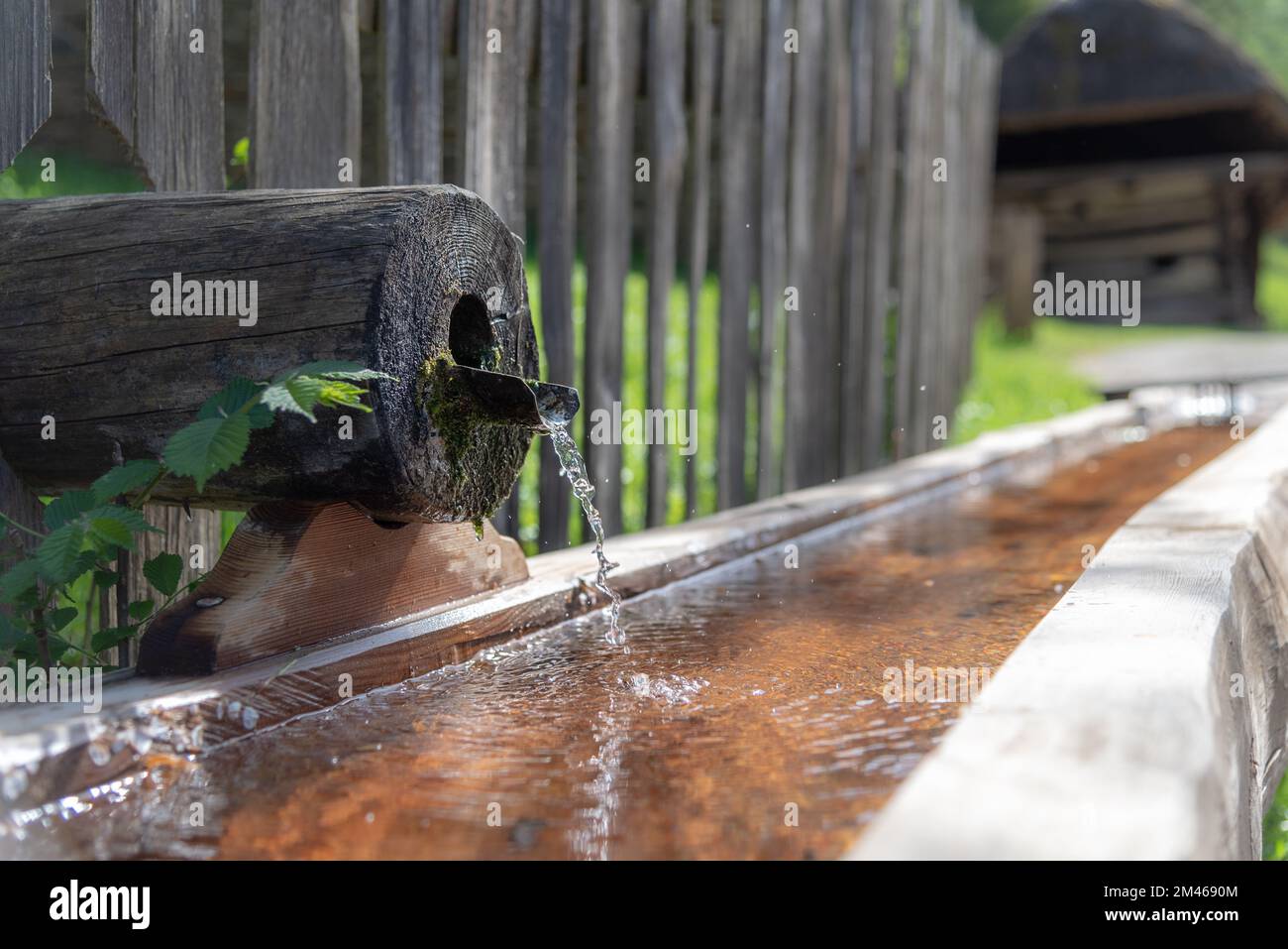 A closeup shot of an old wooden pipe and a small water stream flowing ...