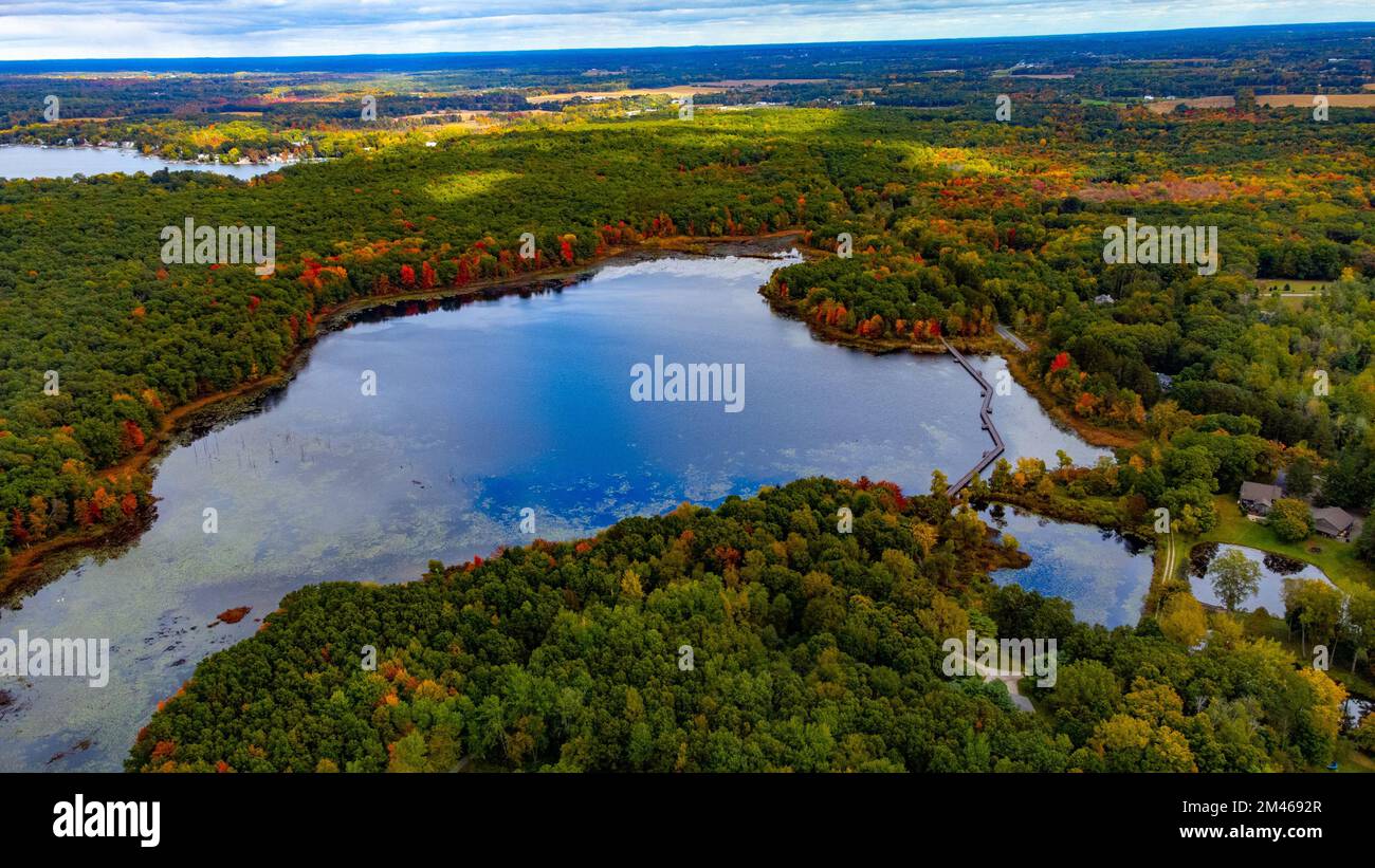 An aerial view of river surrounded by dense trees during sunset Stock ...