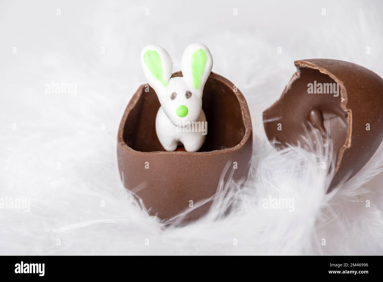 White Easter Bunny in a cracked chocolate egg iand empty egg shell in ...