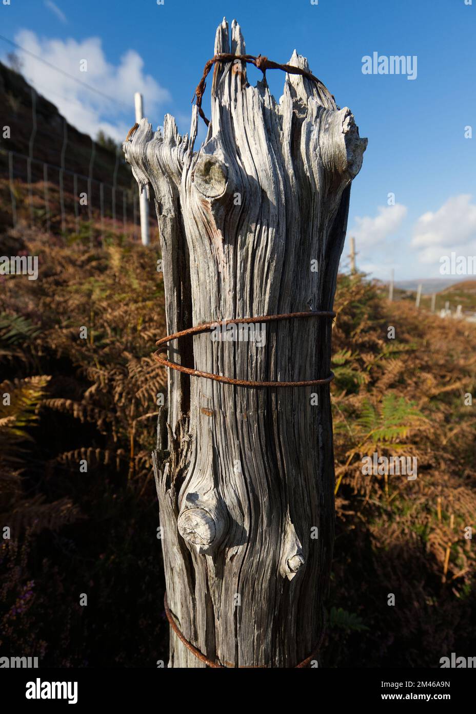 Weathered fence post - Isle of Mull, Scotland Stock Photo - Alamy