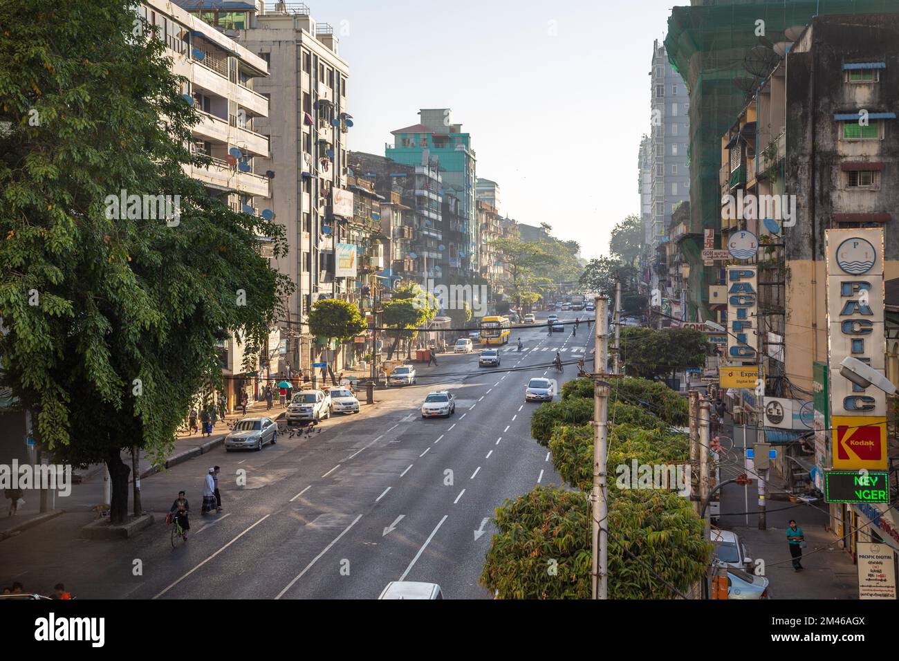 Early morning light reaches a tree-lined main road through central ...
