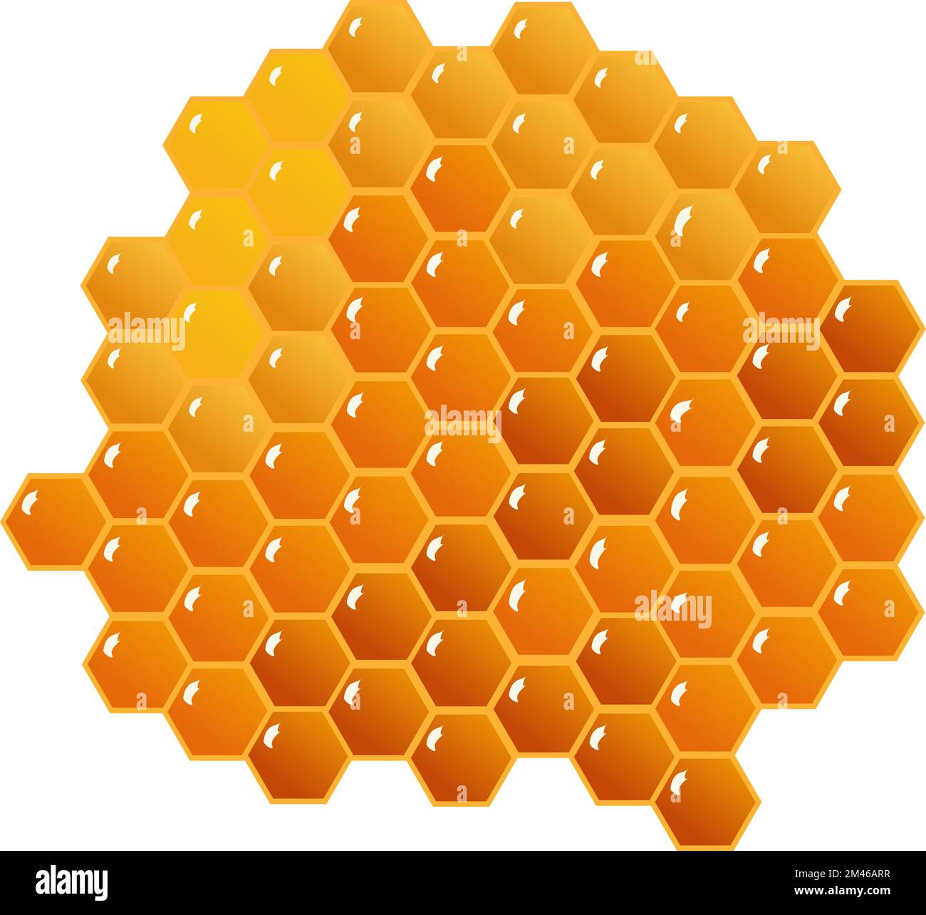 Vector honeycomb isolated on white background. Highly detailed Stock ...