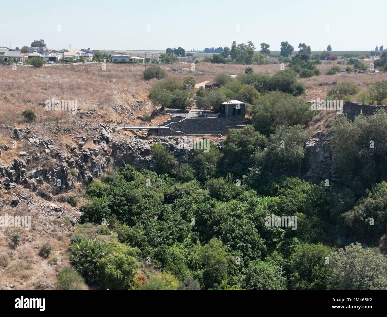 The view of green lush vegetation with town buildings in the background ...