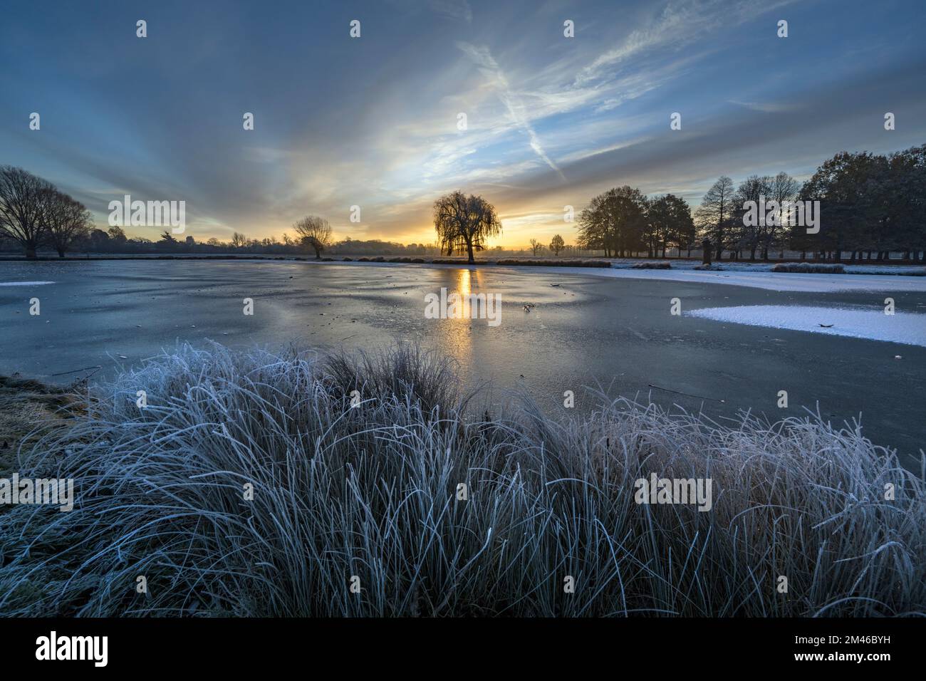 Rising sun over the blue frozen ice at Bushy Park ponds in Surrey ...