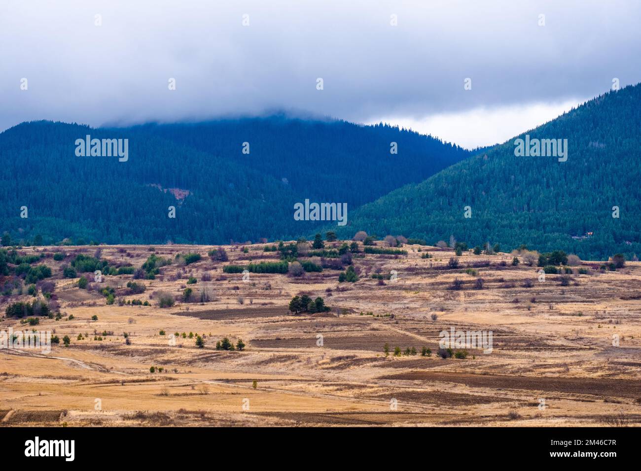Amazing view of Magnificent autumn carpet in The Rhodope mountains ...
