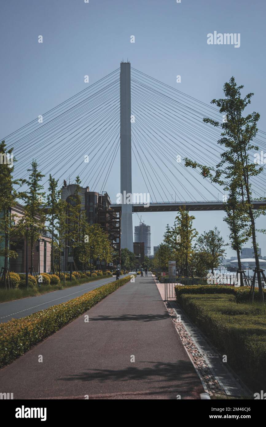 A vertical of the Bund Pudong side walking path to NanPu Bridge in ...