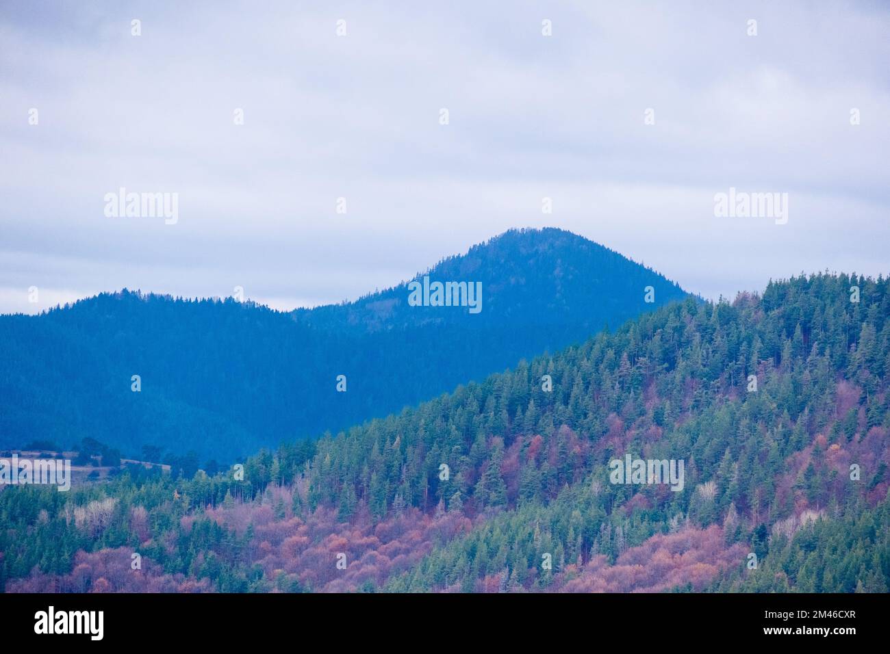 Amazing view of Magnificent autumn carpet in The Rhodope mountains ...