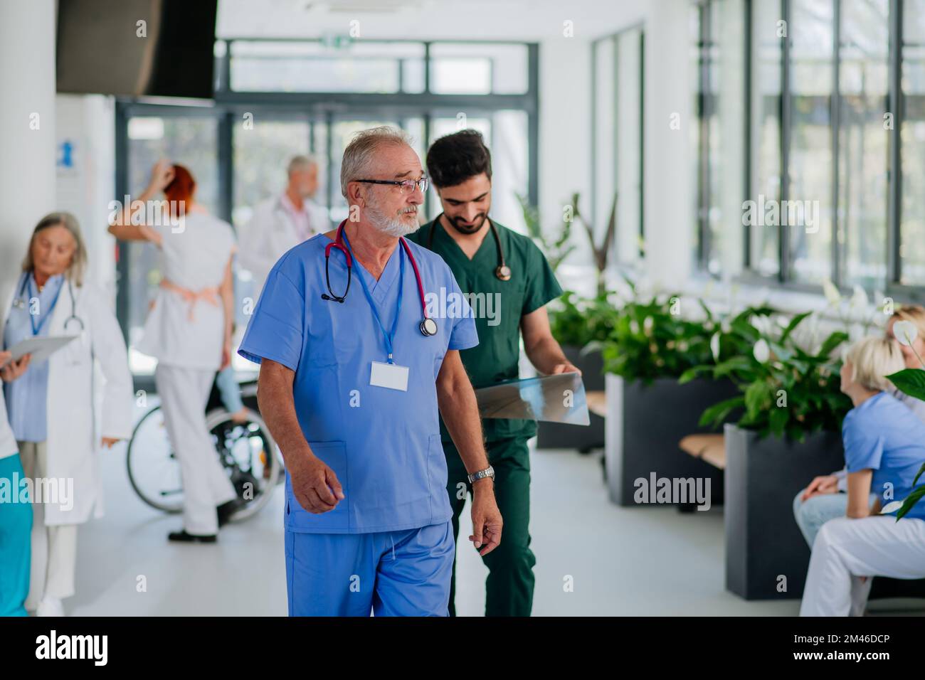 Doctors at hospital corridor, going for daily check up of patients ...