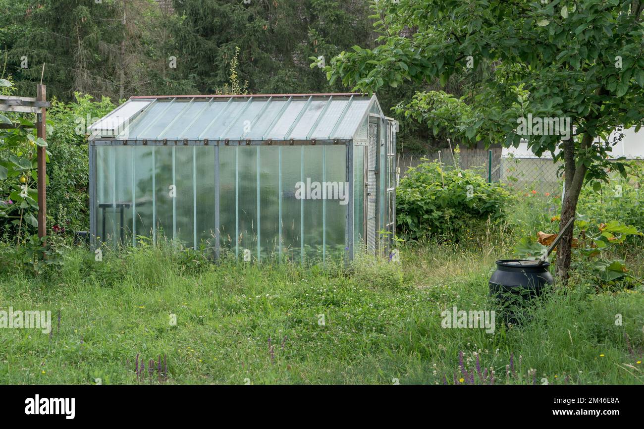 Greenhouse in a natural garden with shrubs, trees and a meadow Stock ...