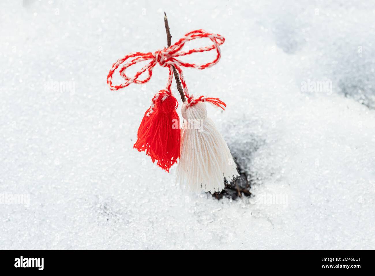 white and red cord martisor. Martenitsa in the snow in the spring ...