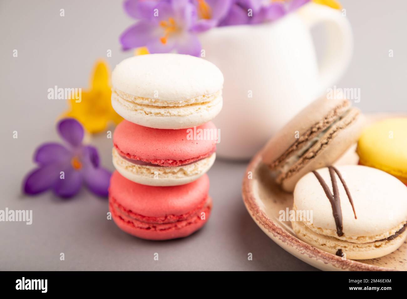 Multicolored macaroons with spring snowdrop crocus flowers on gray ...