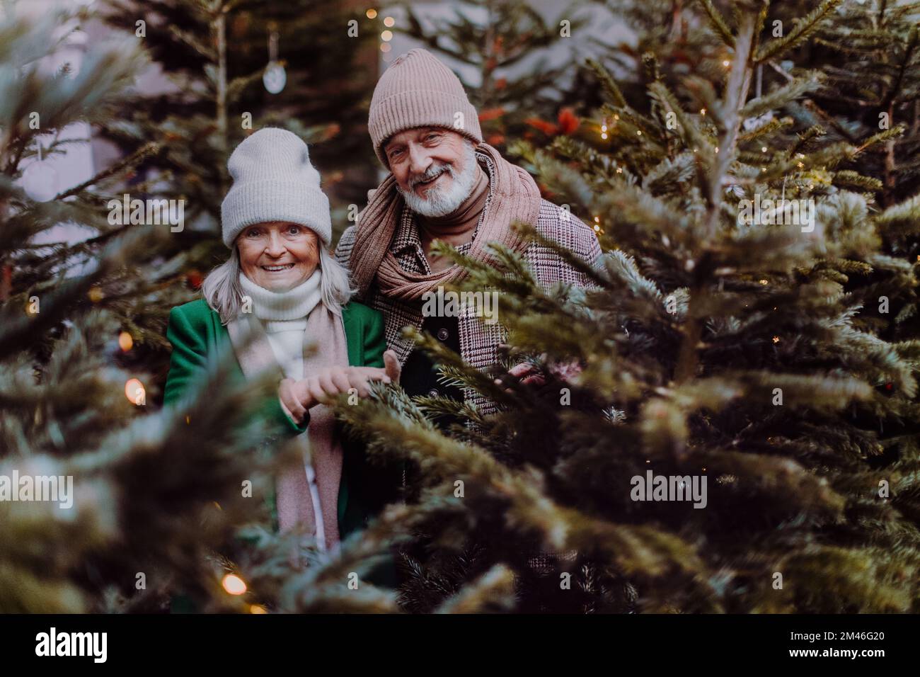 Shopping christmas tree woman lights hi-res stock photography and ...